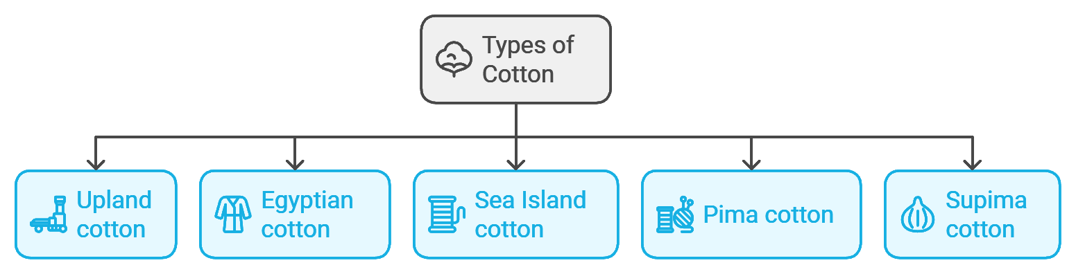 Pima Cotton vs Supima: What's the Difference Between These Premium ...